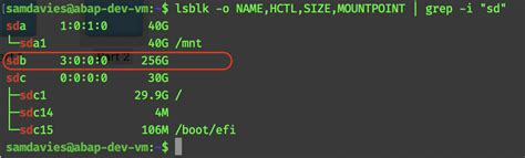 install abap platform 1909 dev edition on an azure ubuntu instance