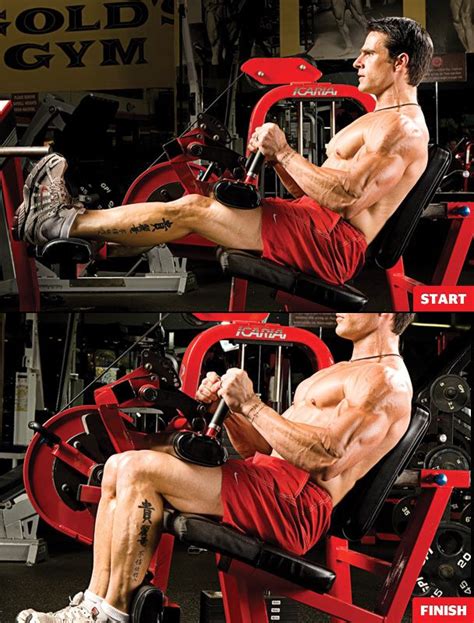 Legs And Butt 4 4 Sets 10 15 Reps Leg Curl Seated Leg Curl Leg