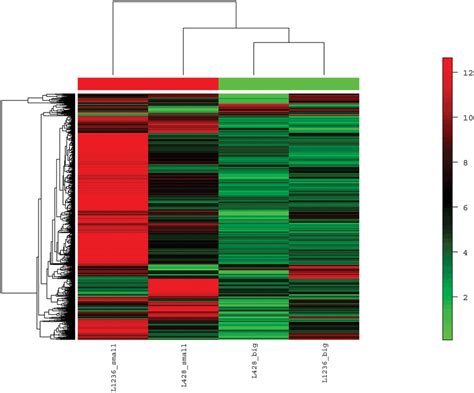 Unsupervised Hierarchical Clustering Of Gene Expression Profiles