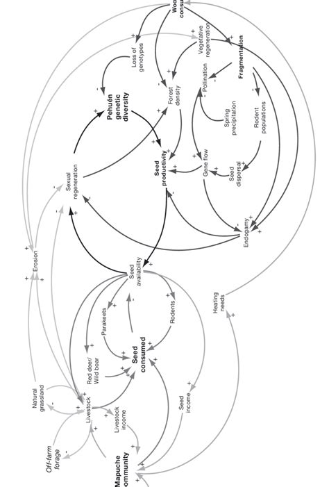 Causal Loop Diagram Cld Showing The Variables Identified For Each Of