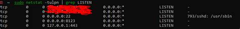 nginx proxy manager tcp 0 0 0 0 443 bind address