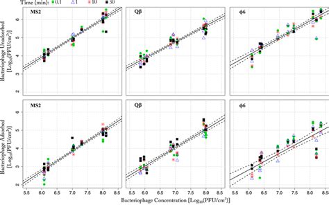Linear Regression Of The Log 10 Transformed Bacteriophage Ms2 Φ6 Qβ