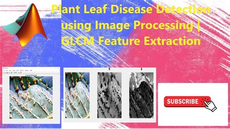plant leaf disease detection using image processing matlab code youtube