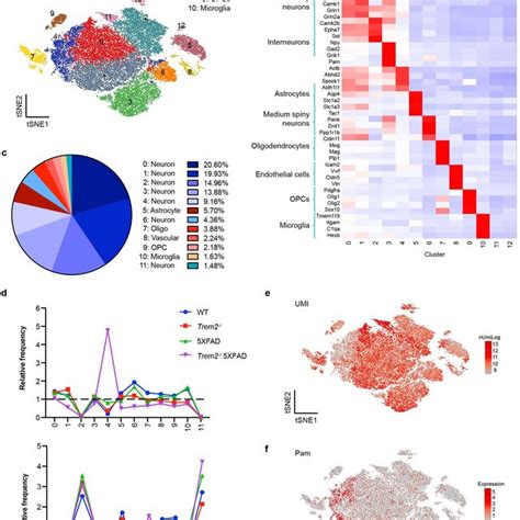 Characterization Of The Microglia Cluster A T Sne Plot Showing The