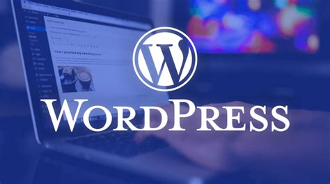 best plugins for your wordpress website