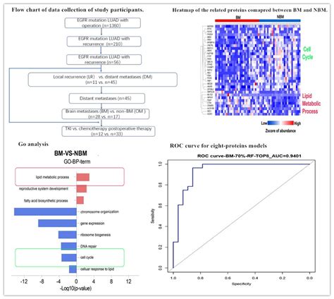 P1 11 03 Proteomics Based Predictive Model For The Increased Brain