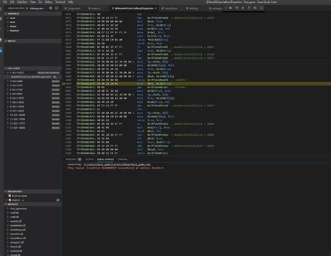 debugger only shows dissassembly when debugging rust · issue 249