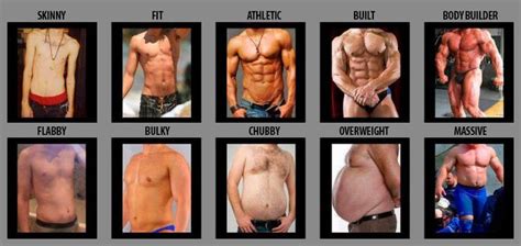 bodybuilding 799×379 body types chart athletic body types