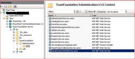 tfs 2010 reporting services error