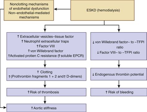 Coagulation Anomalies Endothelial Dysfunction And Aortic Stiffness
