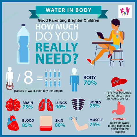 Benefits Of Drinking Water Infographic
