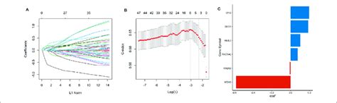 Construction Of A Ddrg Risk Signature A Lasso Coefficient Profiles