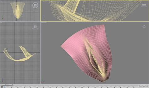 Female Genital Realistic Vagina 3d Model In Anatomy 3dexport