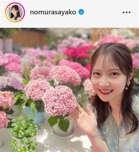 Tbs野村彩也子アナ、アジサイとのツーショットに「すてきなアジサイプリンセス」 女子アナ 日刊スポーツ