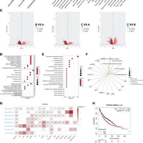 Landscape Of Biological Characteristics Of Cuproptosis Related Subtypes