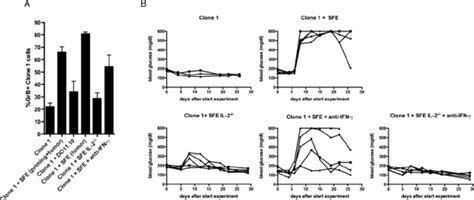 Il 2 Production By Cd4 T Cells Is Critical For Increased Effector