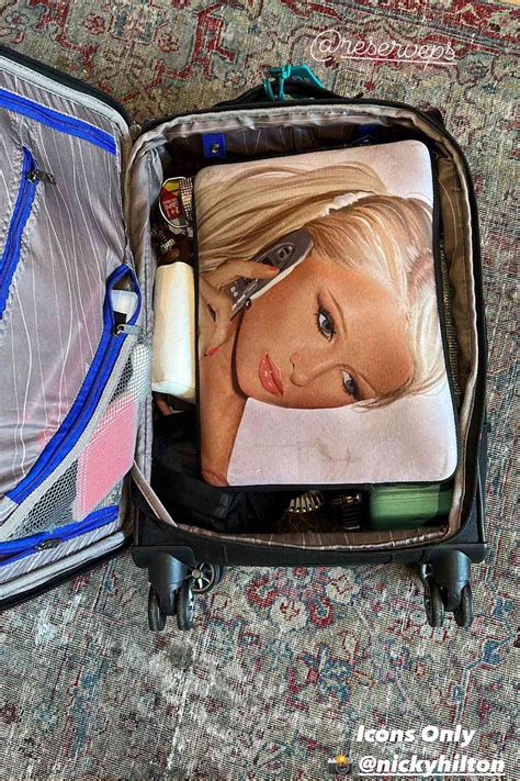 Paris Hilton Shares Videos Of Son Phoenix While Traveling With Sister Nicky