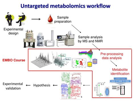 Ppt Embo Practical Course On Metabolomics Bioinformatics For Life