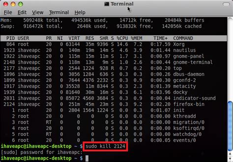 how to kill hung process program in linux i have a pc i have a pc