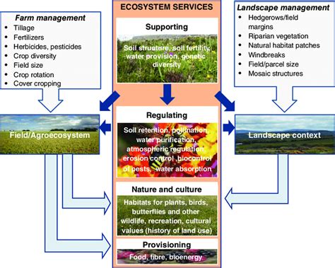 1 Interactions Between Agriculture Management Of The Wider Landscape