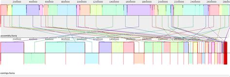 Genome Alignment With Mauve Abrpi Training
