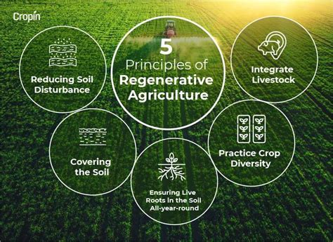Regenerative Agriculture Sustaining Our Future