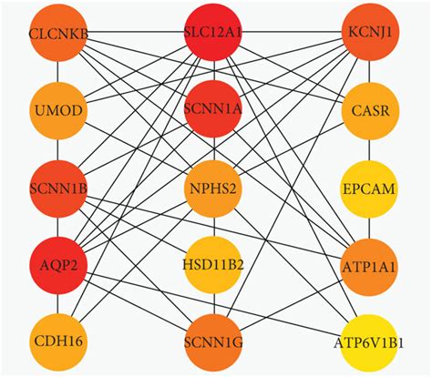 The Identification Process Of Eno2 As The Target Gene In Ccrcc Notes