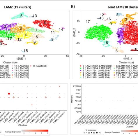 cluster analysis of scrna seq samples a unsupervised clustering of