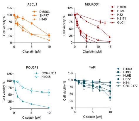 Small Cell Lung Cancer New Approach To Overcoming Chemo Resistance
