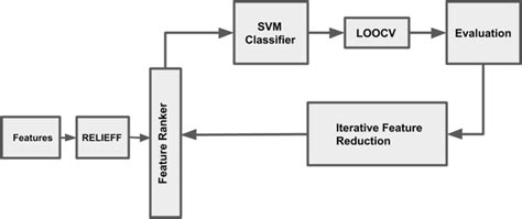 schematic representation of the classification pipeline used for this