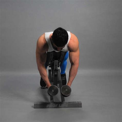 Dumbbell Lying Rear Lateral Raise Fit Drills Website