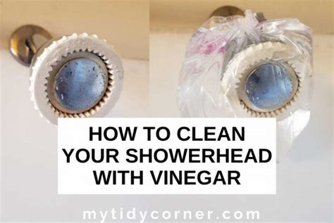 How To Clean Your Showerhead With Vinegar Step By Step Guide