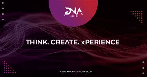 xdna senior full stack developer with experience in server