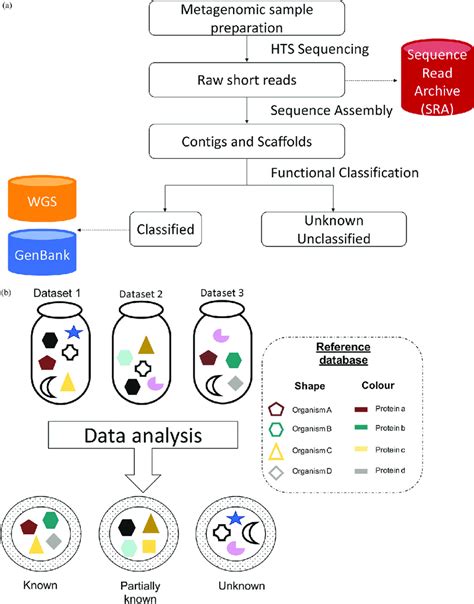 Typical Metagenomic Analysis And Data Submission To Public