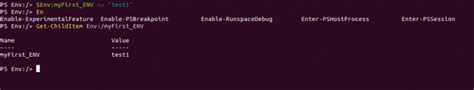 powershell environment variables types of environment variables