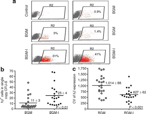 Improved Human β Globin Expression From Self Inactivating Lentiviral