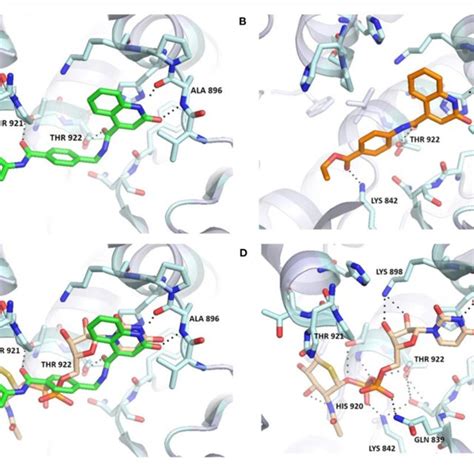 Fragments And Compounds Inhibition Potency Against Ogt Download