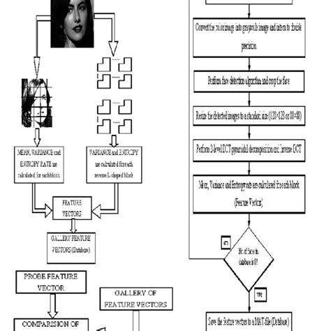 Flowchart Of The Face Recognition Algorithm Download Scientific Diagram