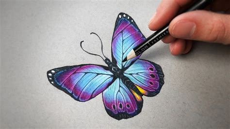 The Colored Pencil Drawing Course Beginner To Advanced Udemy Free