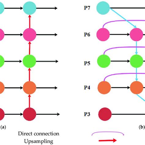 Bi Directional Feature Fusion Network A Panet With Bi Directional