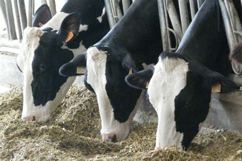 Comment LÉtat Va Mobiliser 14 45 Milliards De Dh Pour Développer La