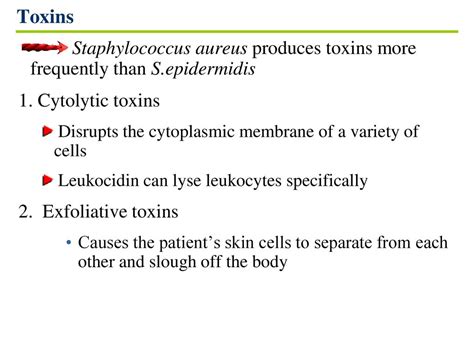 Pathogenic Gram Positive Cocci Staphylococci Ppt Download