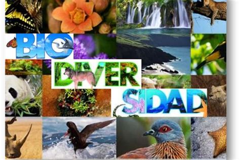 ¿sabes Qué Es La Biodiversidad Educaimágenes