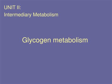 Ppt Glycogen Metabolism Powerpoint Presentation Free Download Id