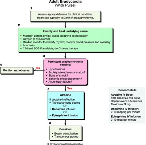 pin on acls