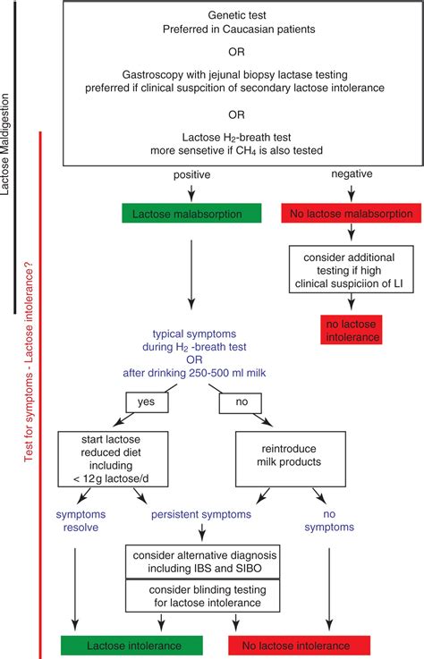 Lactose Malabsorption And Intolerance Pathogenesis Diagnosis And