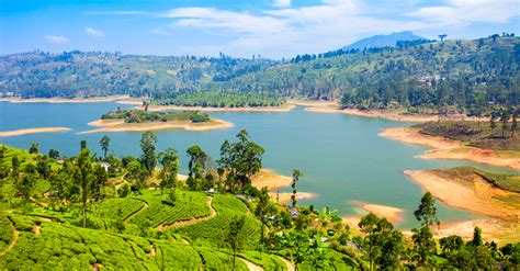 Top 20 Amazing Things To Do And See In Sri Lanka Best Places To Visit