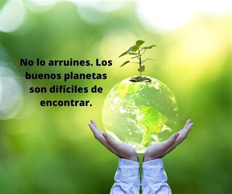 30 Frases Para Reflexionar Sobre El Medio Ambiente Images And Photos
