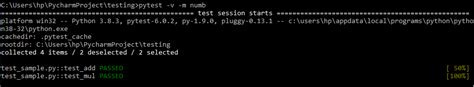 python unit testing using options with pytest codedec