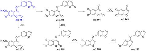 The Proposed Ms N Fragmentation Patterns Of Representative Coumarin